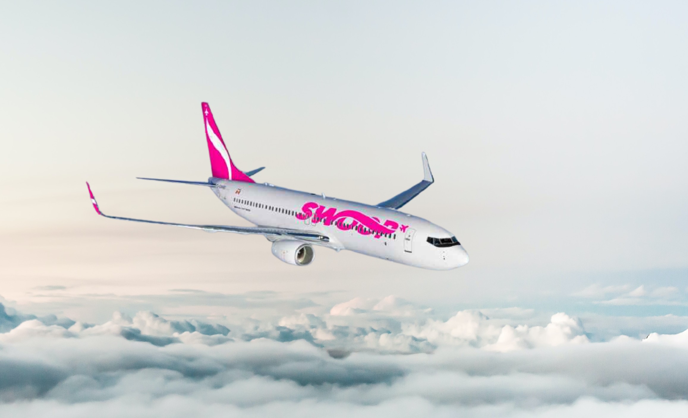Aerolínea Swoop inaugura nueva ruta entre Toronto y Punta Cana ...