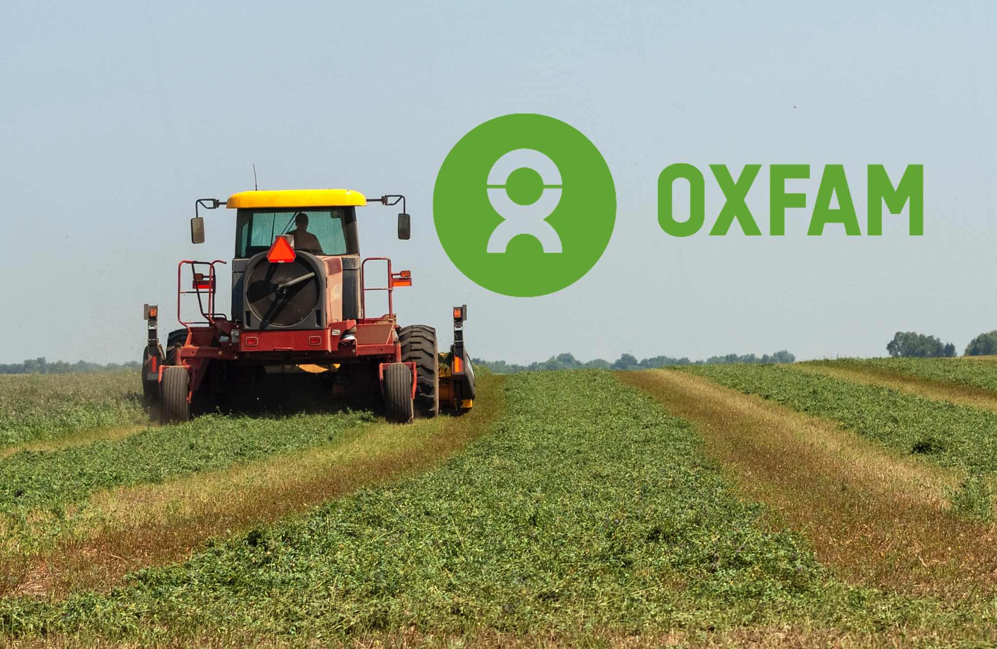 Nuevo aviso de licitación de Oxfam en Cuba | Caribbean News Digital