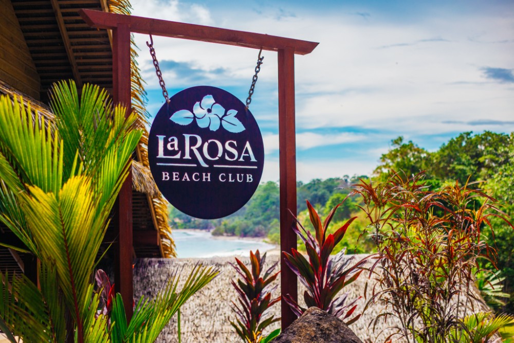 Red Frog, la isla de Bocas para los amantes del ecoturismo | Caribbean ...