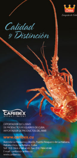 CARIBEX: 50 años con el sabor del Caribe | Caribbean News Digital